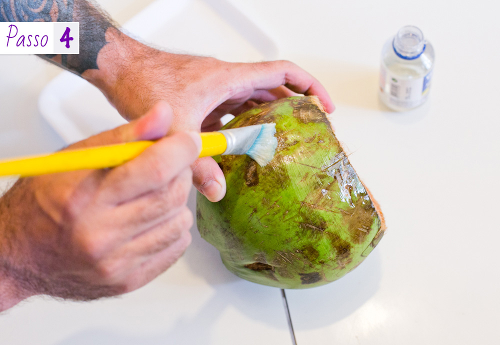 Faça você mesmo: transforme um coco em vaso suspenso | CASA.COM.BR