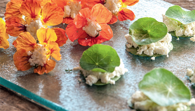 Flores comestíveis! Deixe os pratos lindos e gostosos | CASA.COM.BR