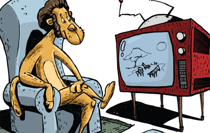 O que é preciso saber para escolher sua TV | CASA.COM.BR O que é preciso saber para escolher sua TV | CASA.COM.BR
