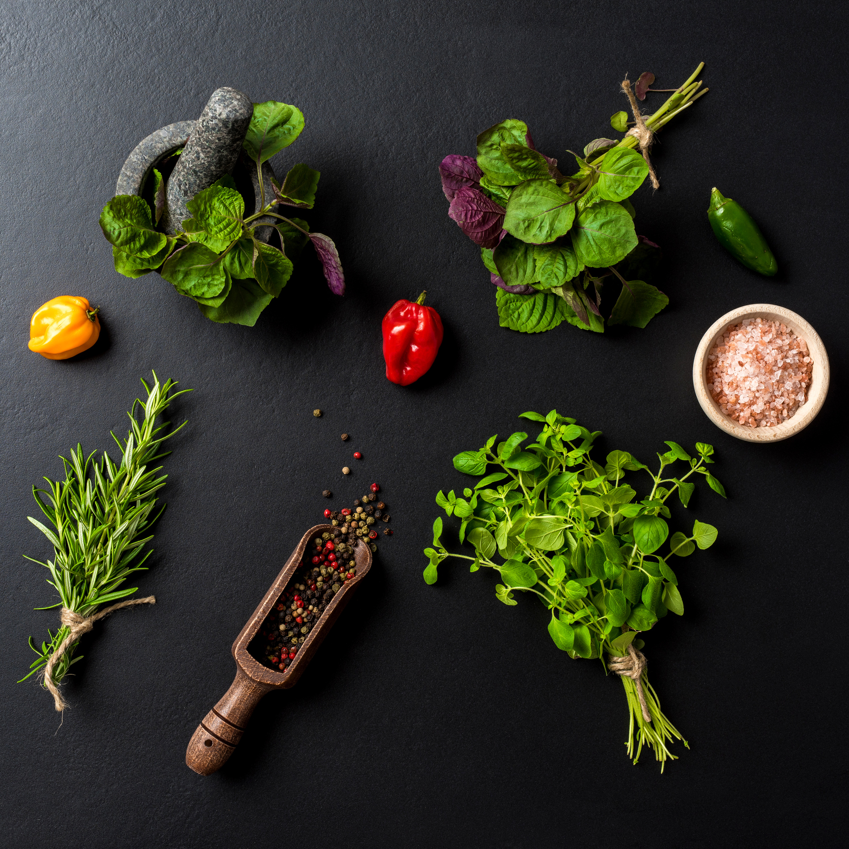 O guia da horta: 10 ervas para você cultivar em casa | CASA.COM.BR